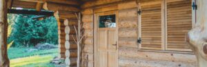 Miracle Maintenance: Free Log Cabin Spring Inspection
